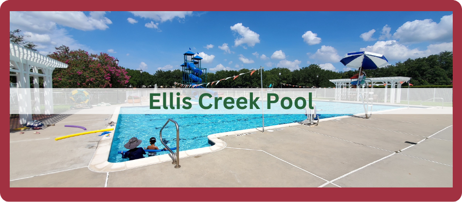 New Territory Parks and Recreation - Aquatics