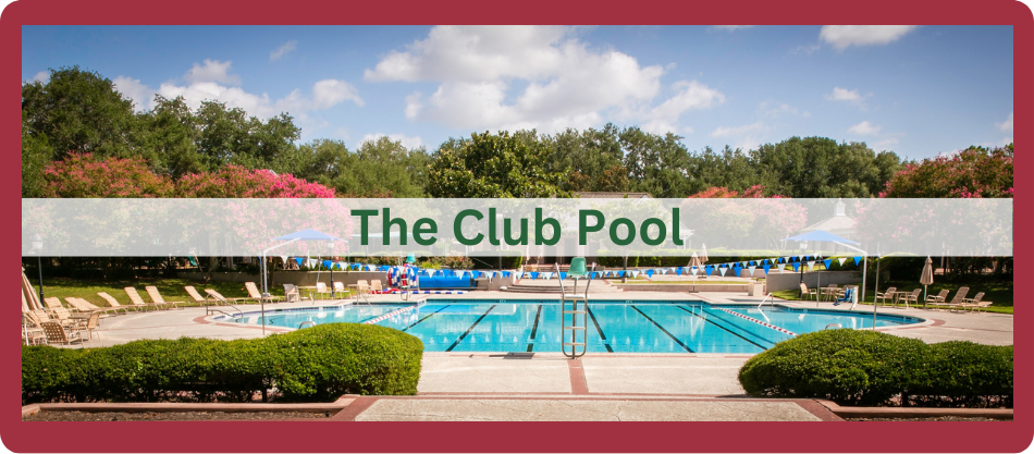 New Territory Parks and Recreation - Aquatics