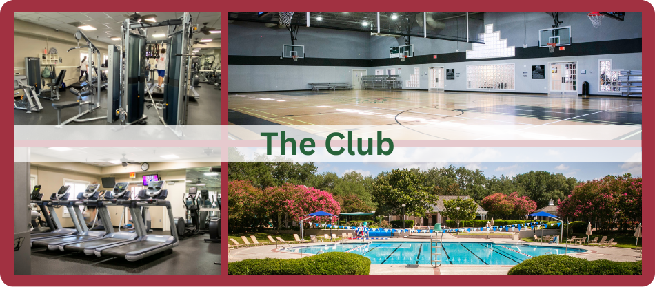 New Territory Parks and Recreation - Parks & Amenities