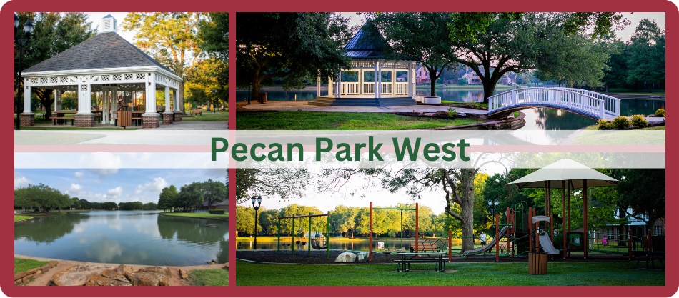 New Territory Parks and Recreation - Parks & Amenities